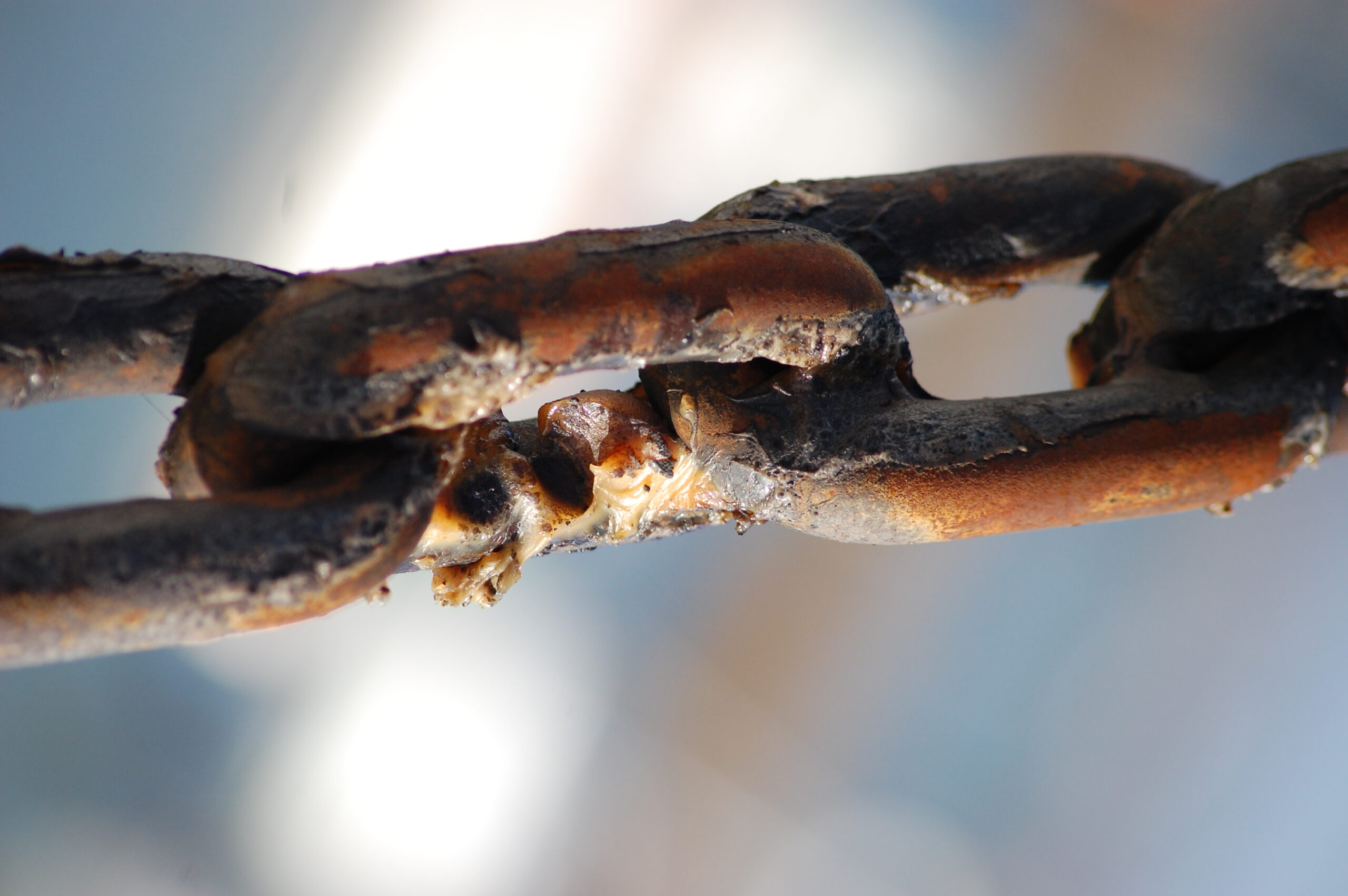 Miscellaneous - The International Institute of Marine Surveying (IIMS)