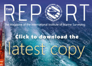 RightShip releases revised vessel inspection age trigger timeline - The ...